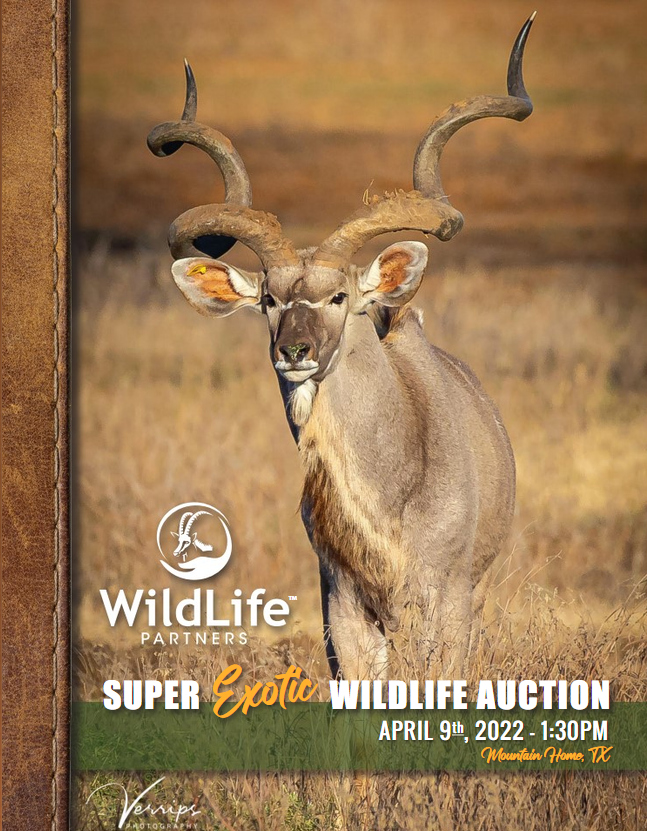 WildLife Partners Auction | Home